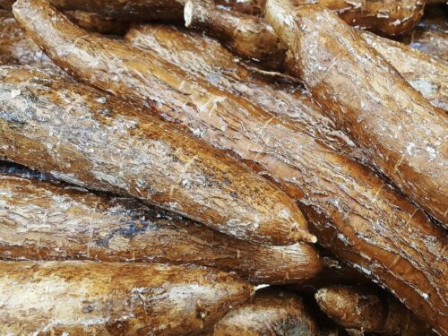 What is Yuca: Recipes, Origins & Benefits - Plant Based And Broke